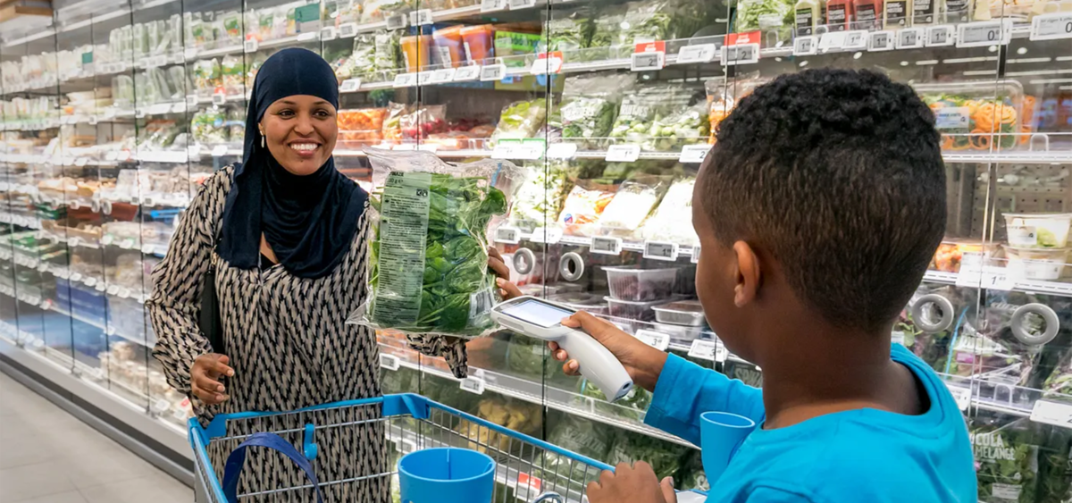 Intrinsically interpretable models: explaining a linear regression model | Albert Heijn